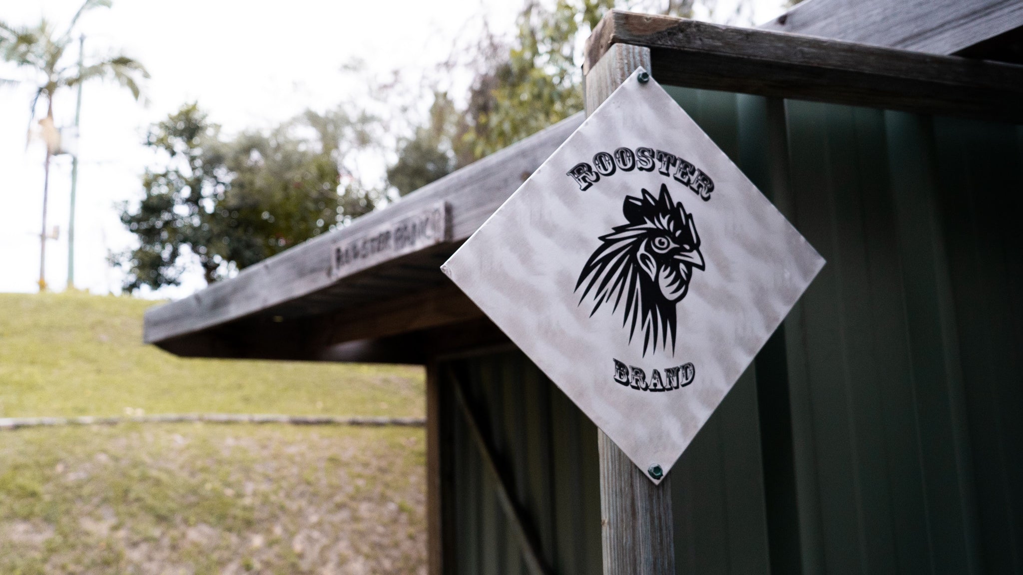 Rooster Surfboards – ROOSTER BRAND LTD.